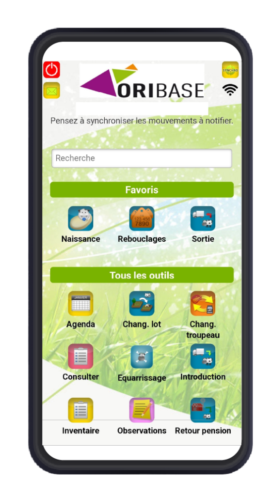 Logiciel de gestion de troupeau Oribase - ELVEA | Rhône-Alpes